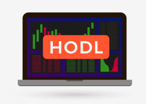 Let’s HODL, the price is going up! - The Crypto Trading Blog